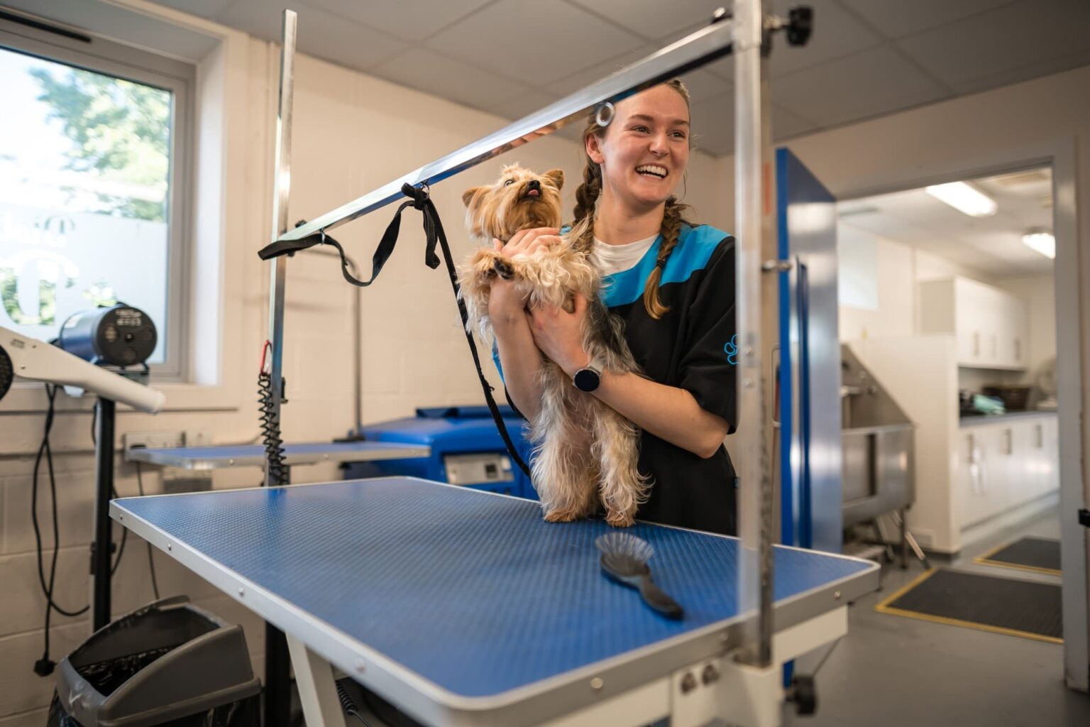 Dog Grooming | Brinsbury College