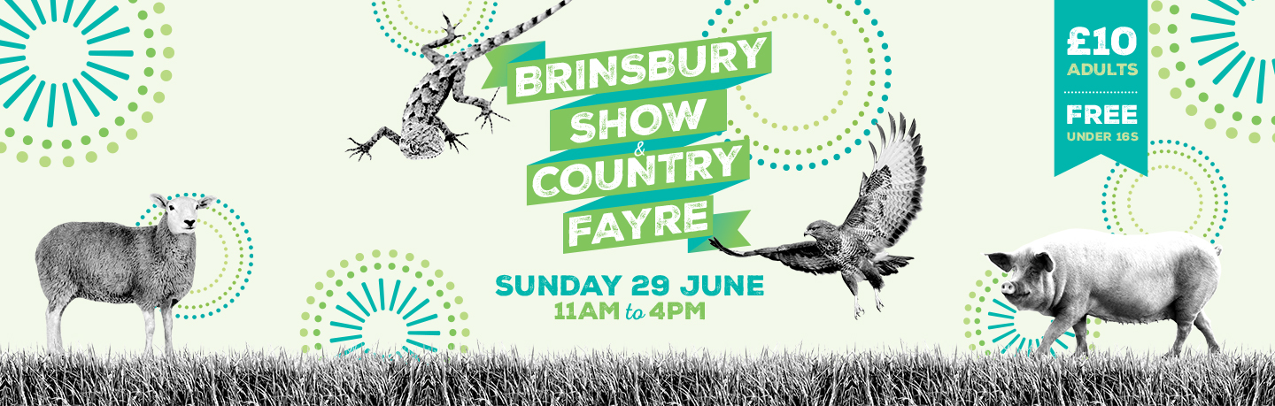 Brinsbury College | We are Ofsted Outstanding